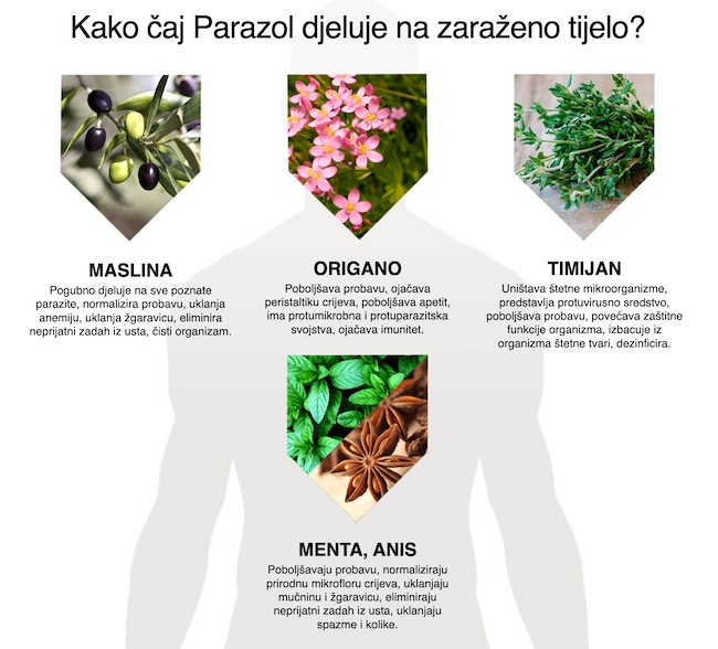 Parazol Forum, Recenzije, Prevara?, Cijena u BiH, Gdje Kupiti, Sastav ...